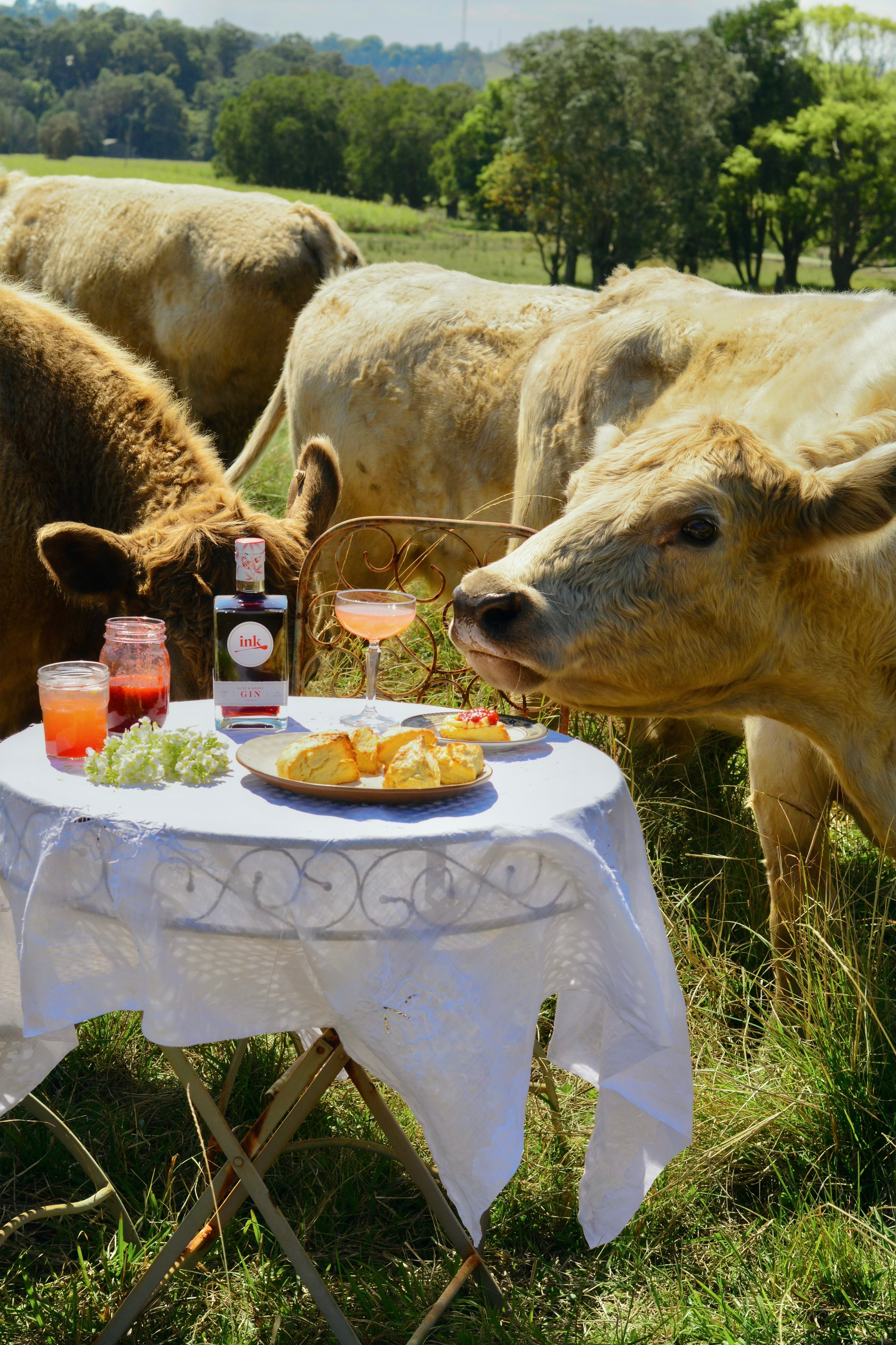 High Tea with the Cows – Ink Gin